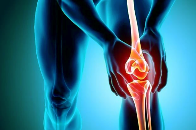 Experimental Drug Can Reverse Osteoarthritis, Animal Research Shows ...