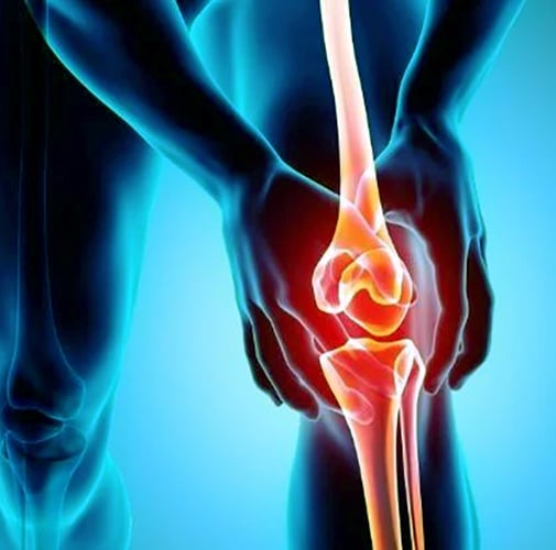 Experimental Drug Can Reverse Osteoarthritis, Animal Research Shows ...